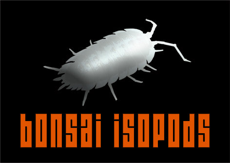 Isopod Accessories – Bonsai Shrimp